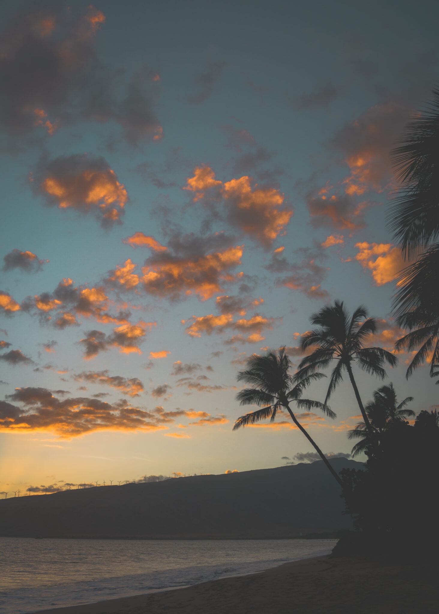 Golden Hour vs. Blue Hour: Best Time for Stunning Beach Photos